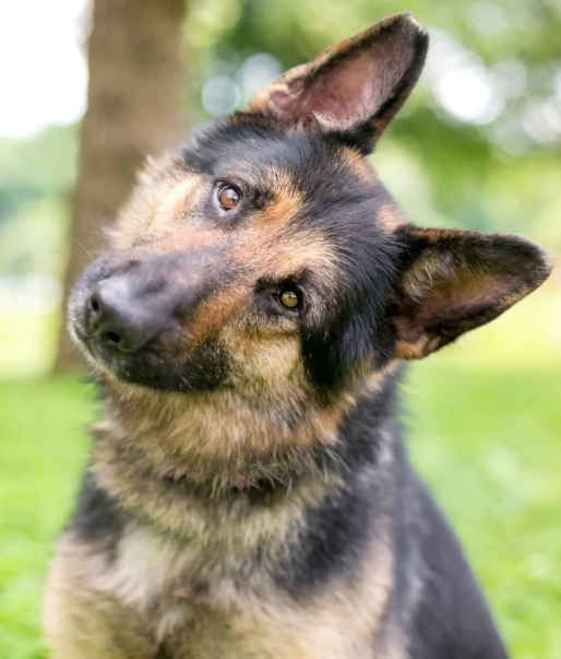 Last post wins! - Page 299 - Public Board - The Gladiatorz