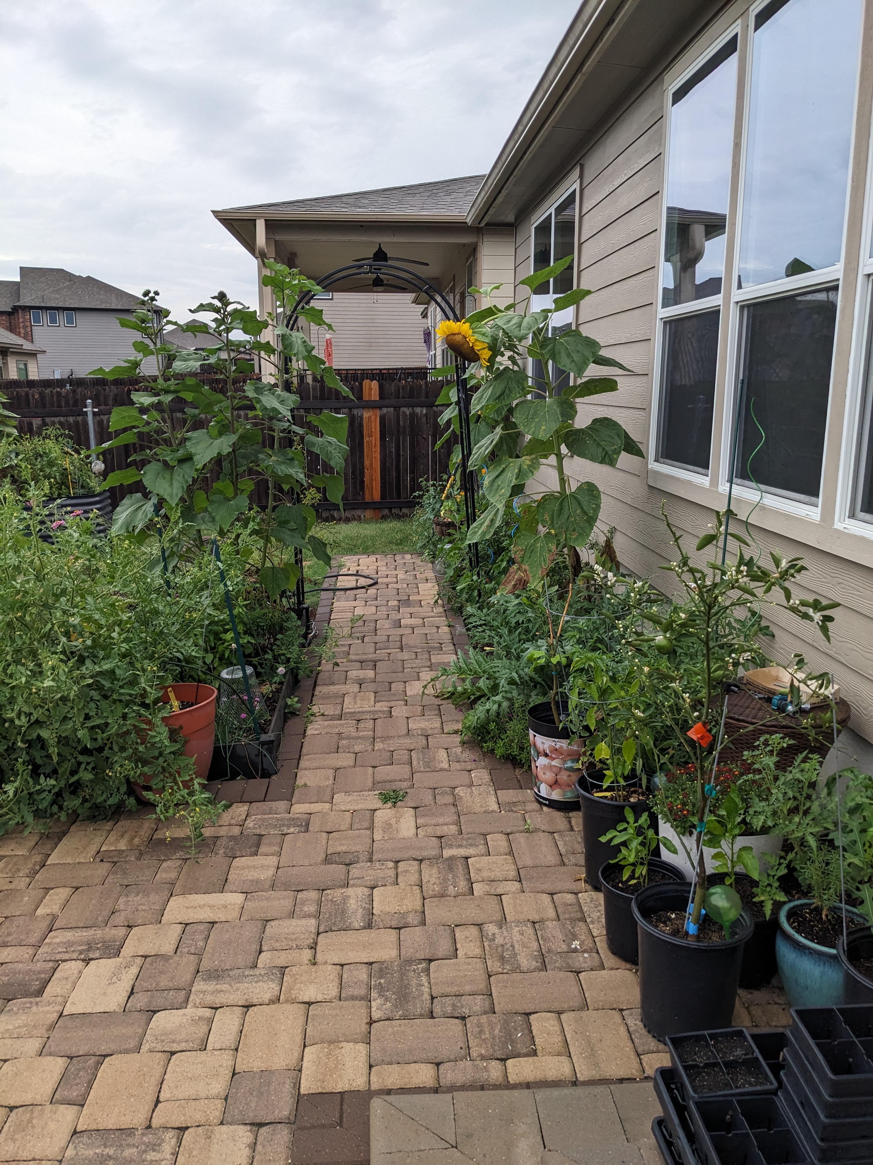 Pictures of Your Pets - Public Board - The Gladiatorz